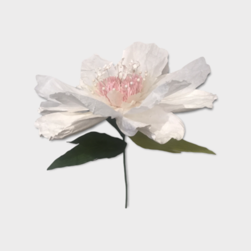 Dancing paper flower | White – Nixon + Maude